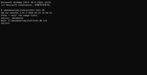 涛哥博客 - SpringBoot集成SQLite和Mybatis-Plus